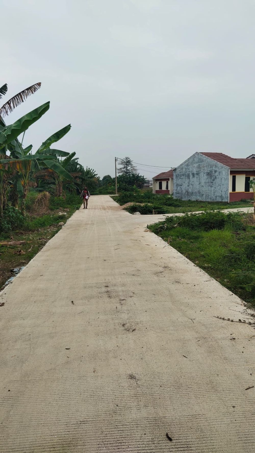 Sikumbang
