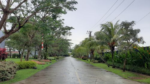 Sikumbang