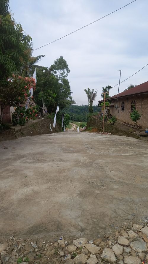 Sikumbang