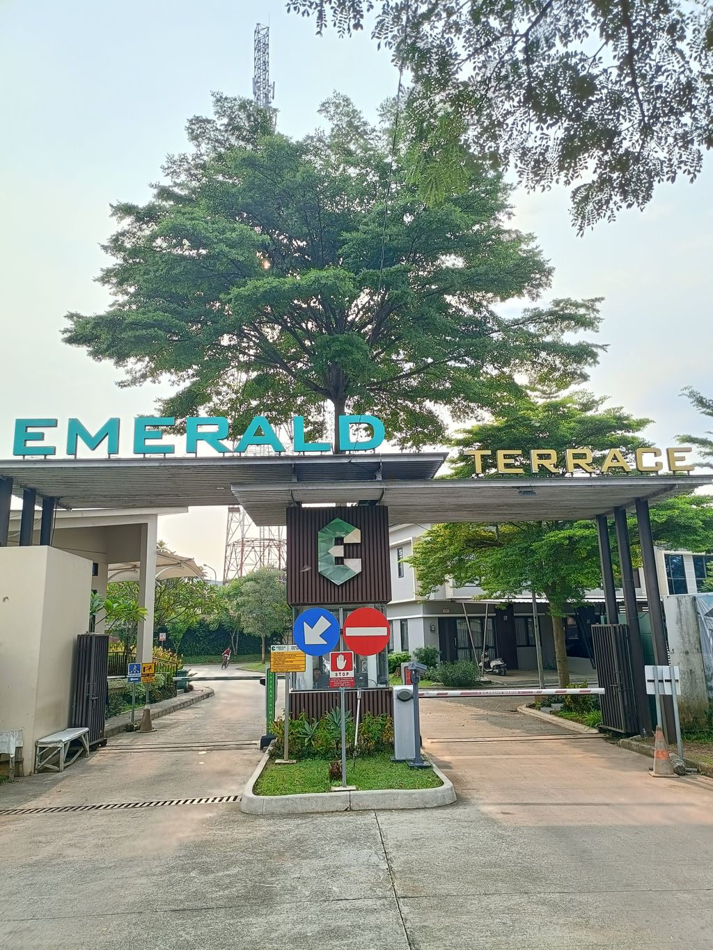 Sikumbang